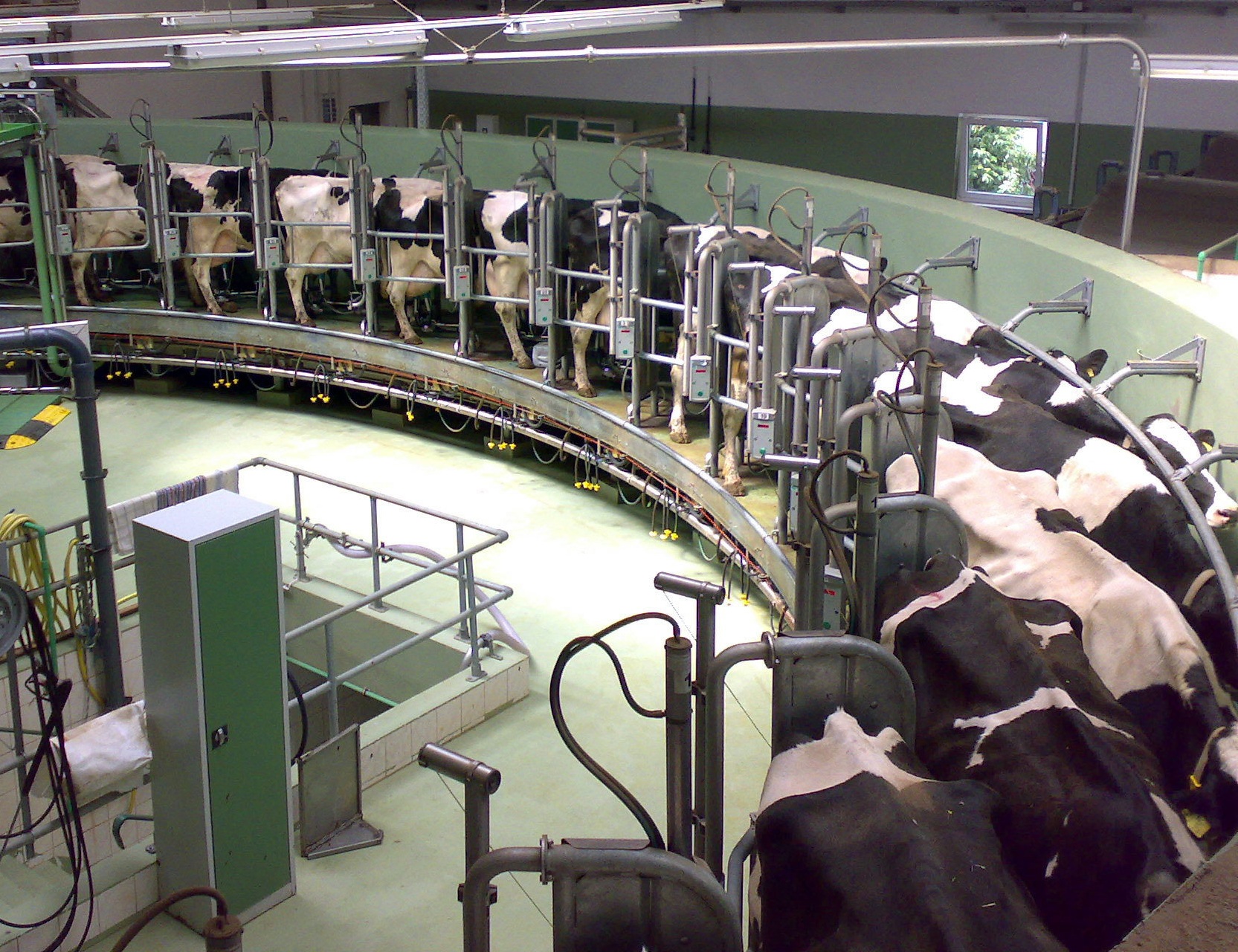 Broun & Co Grain Pty Ltd